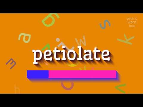 PETIOLATE - HOW TO PRONOUNCE IT?