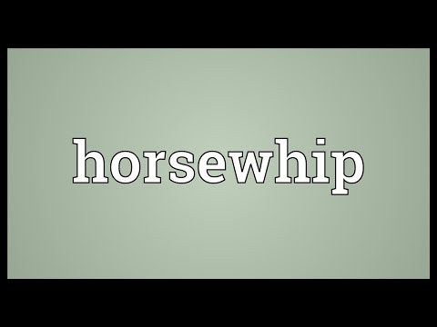 Horsewhip Meaning
