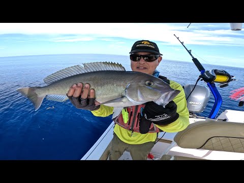 How To Deep Drop For Tile Fish in Florida Keys