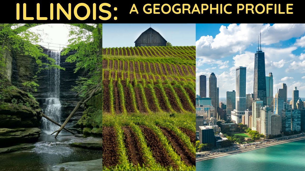 Illinois: State Profile