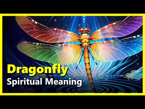 Spiritual Meaning of a Dragonfly