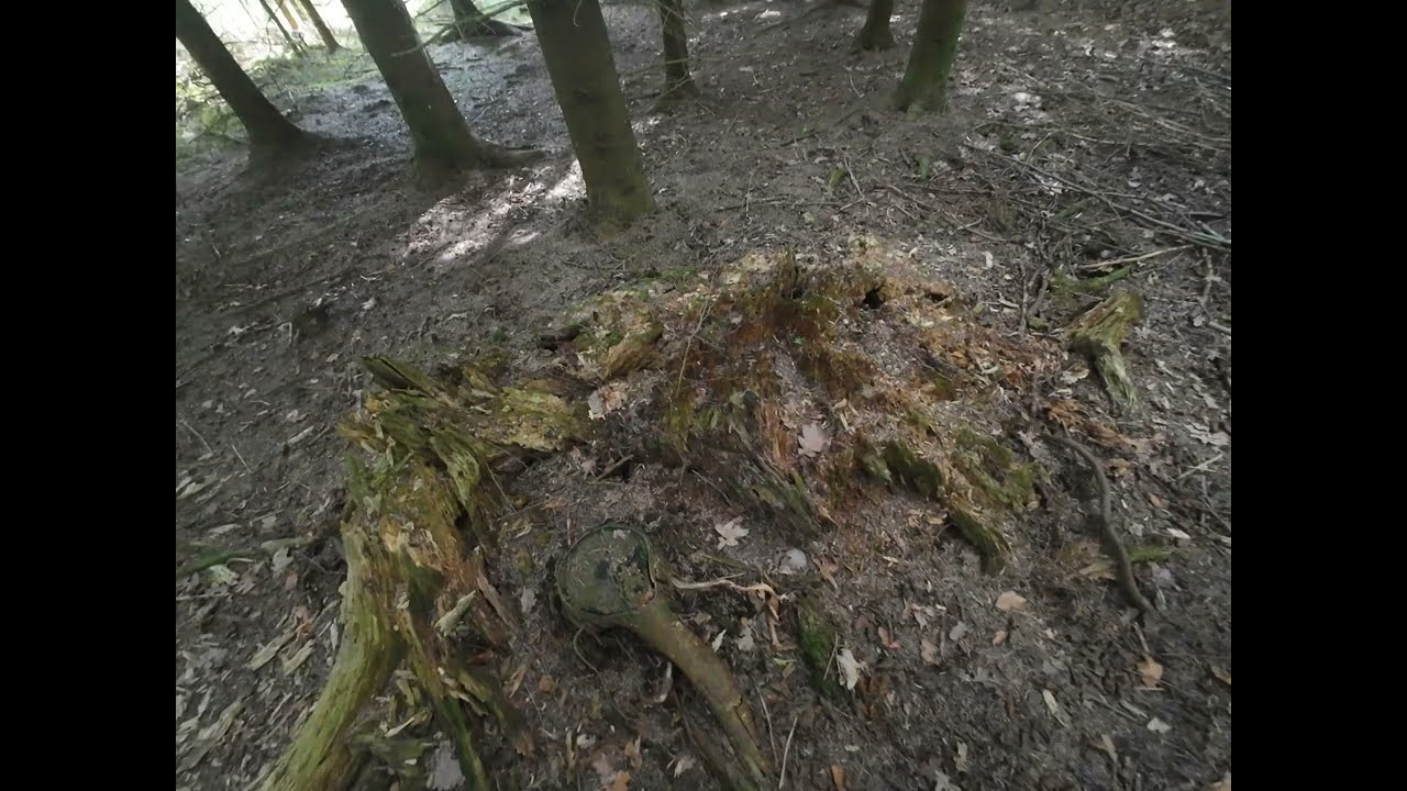 Ein wertloser Holzhaufen?