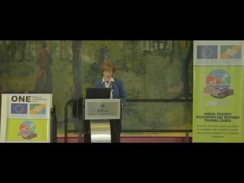 Brucellosis 2: Diagnosis, Prevention, Control and Eradication