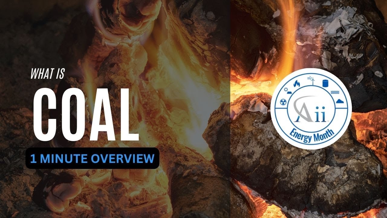 What is Coal? | 1 Minute Overview