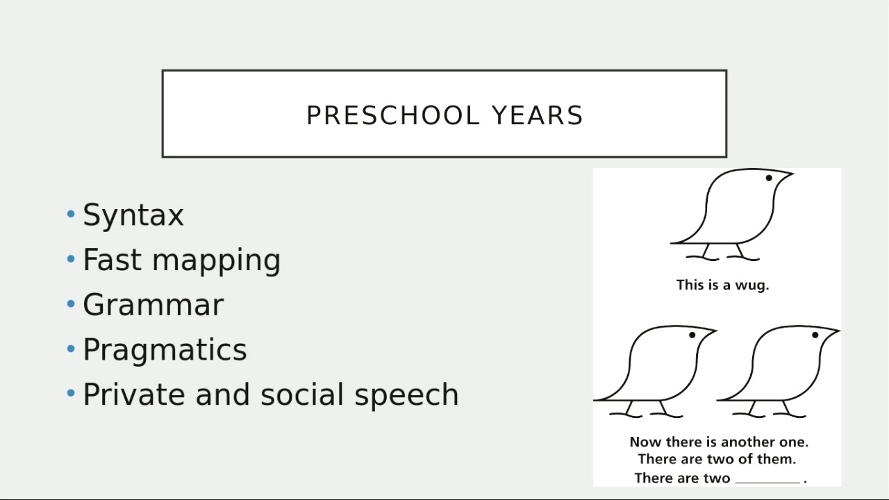 Chapter 7: Language Development
