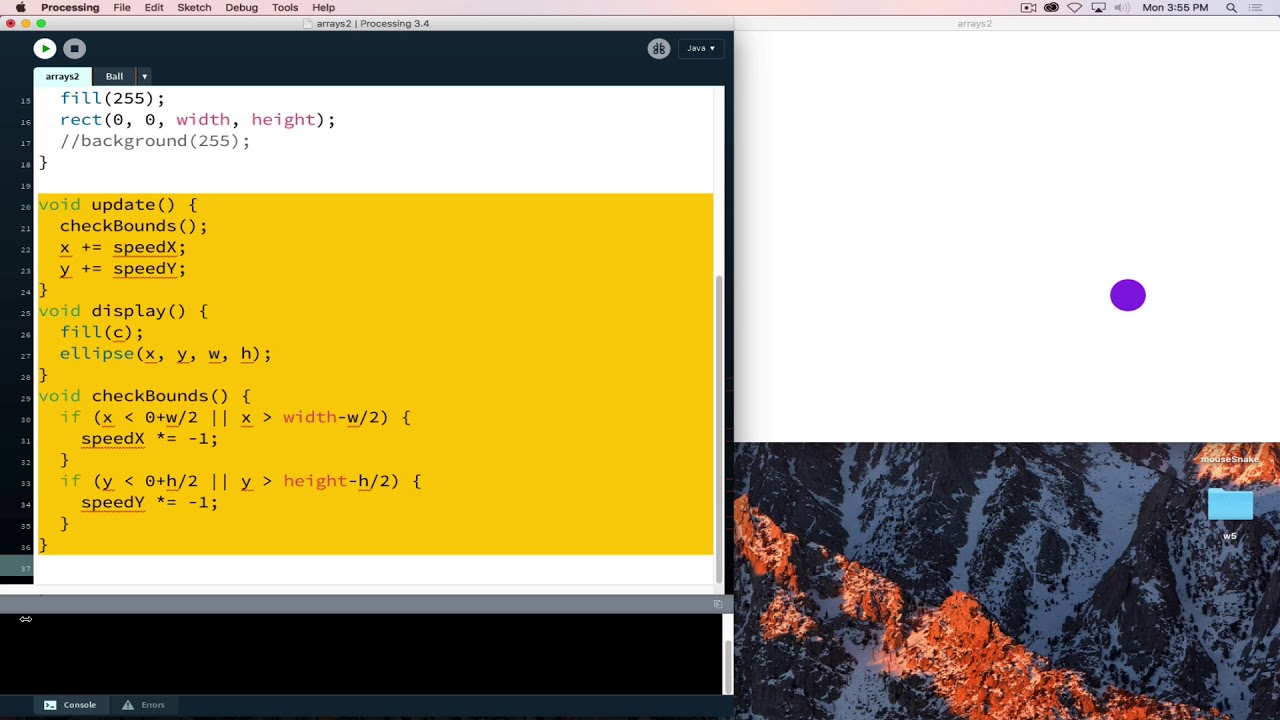 Programming Arrays and Class Objects in Processing
