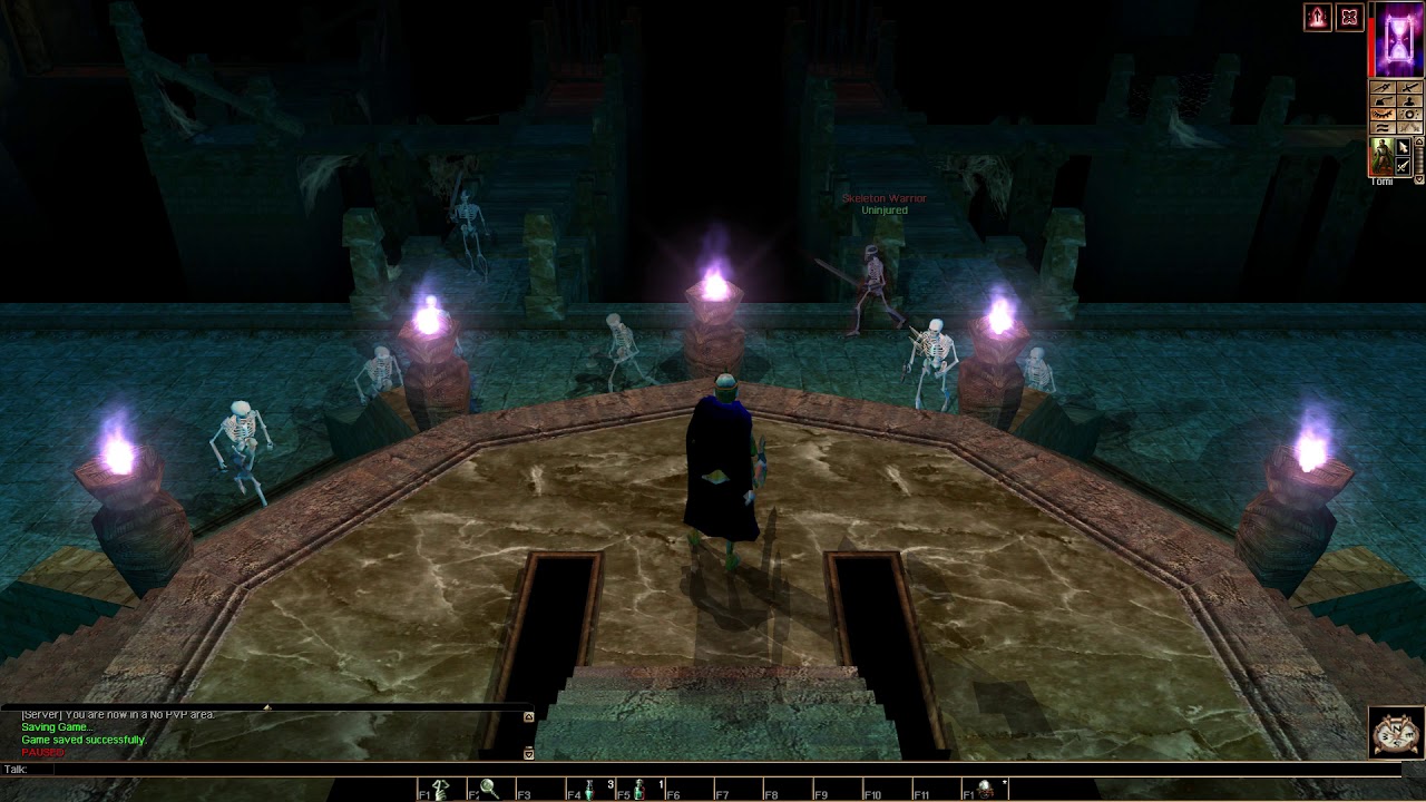 A Thorough Look at Neverwinter Nights