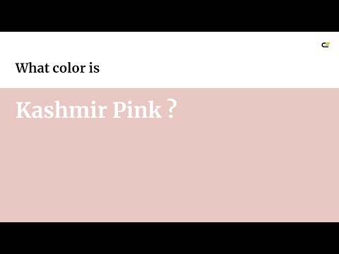 Kashmir Pink color #e9c8c3 hex color - Orange color - Cool color e9c8c3
