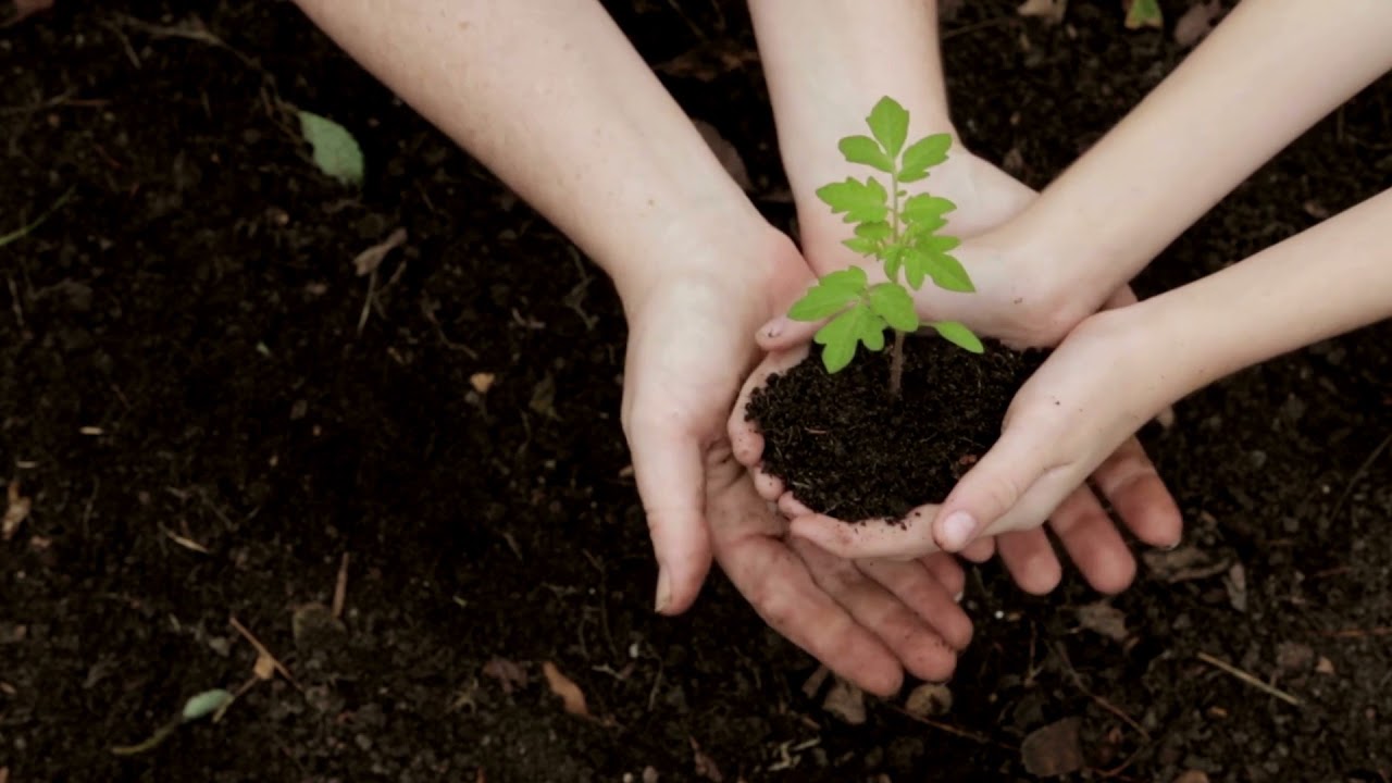 Blue sky by Qualitech