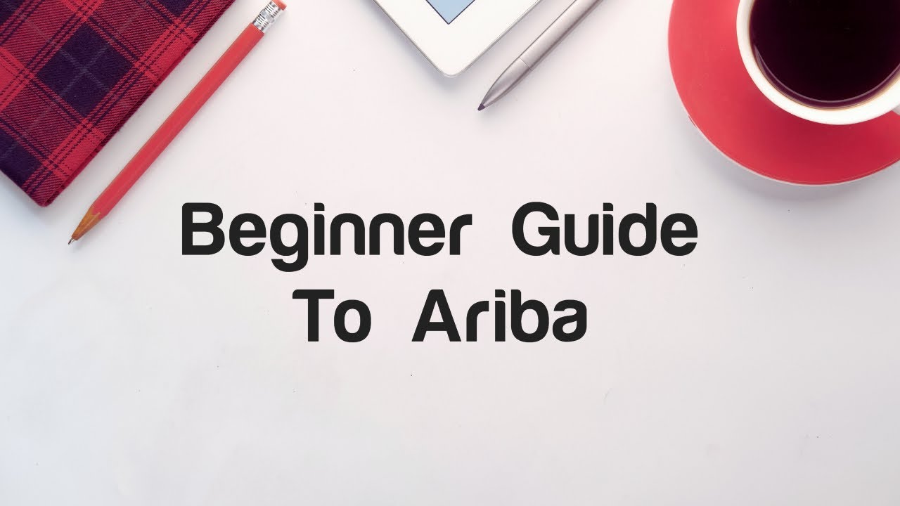Beginner's Guide to Ariba