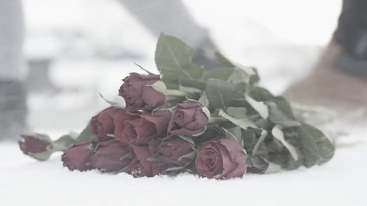 How Much Does 'Ta Mæ Bakfra' Make? | Earnings | Net Worth | Popnable