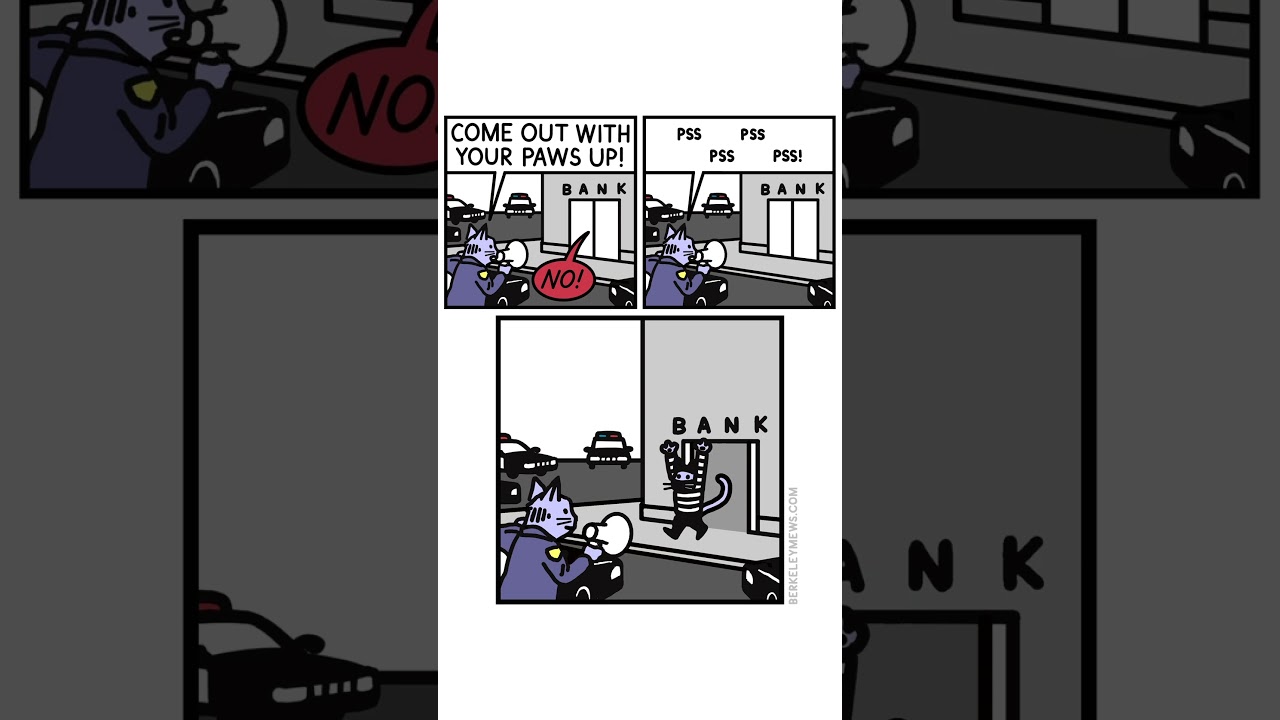 Cat burglar #cat #catvideos #comic
