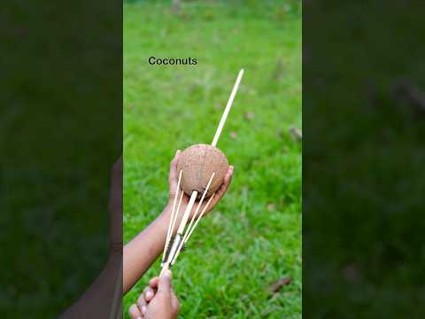DIY Coconut Slingshot – Natural & Eco-Friendly Design #bamboo #creation #ideas