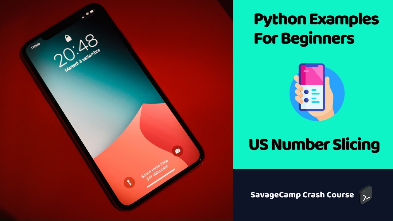 Python Example Code | Format Phone Number | SavageCamp