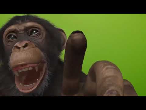 11 Green screen Effects FREE Download Use It