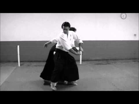 Ogawa Ryu - Shidoshi Thiago Moraes A Great Master Serie - XXX - Another View