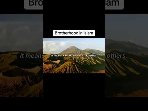 Brotherhood in Islam #motivation #quran #foryou #love #islam #allah #muslim
