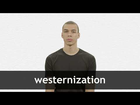 WESTERNIZATION definition and meaning | Collins English Dictionary