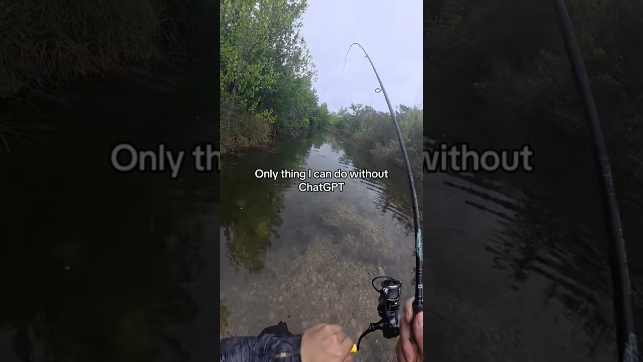 Don’t need ChatGPT for fishing 😂