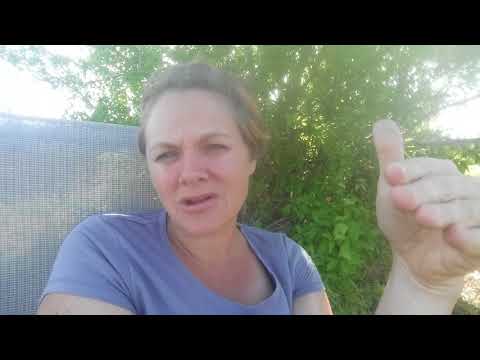 Homeschool Encouragement - How to teach your ADHD Kindergartner to Read.