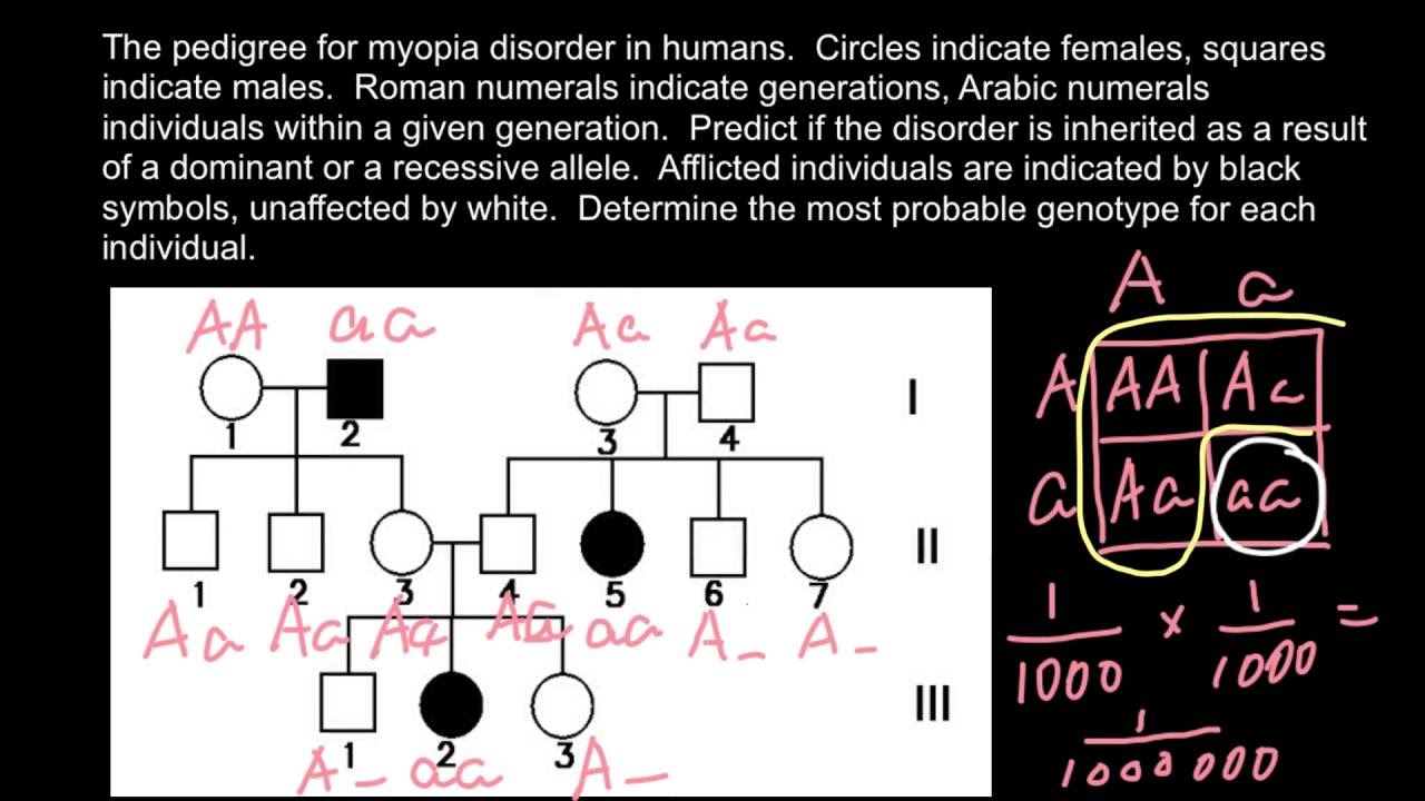 Example of Solution of the Simple Pedigree Problem