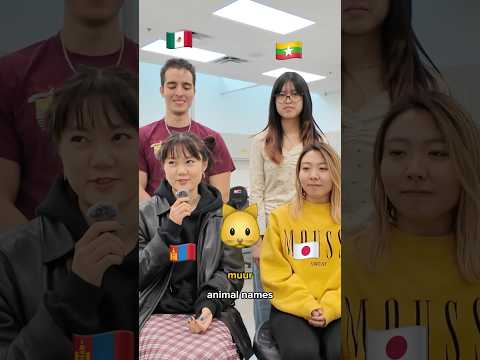 Common animal names in different languages! 🇲🇽🇲🇲🇲🇳🇯🇵 #language #international #students