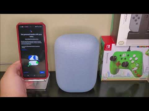 Google Nest Audio Setup