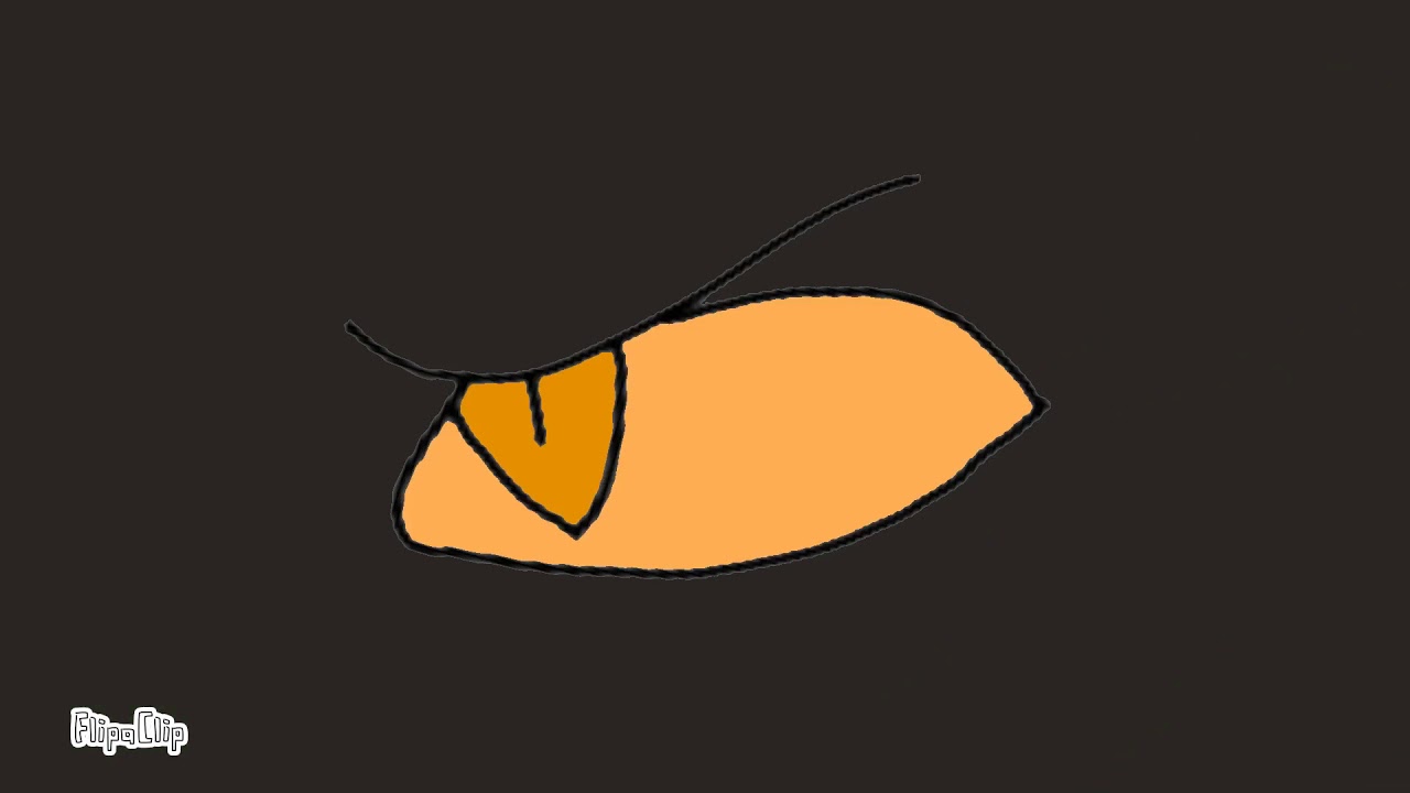 Join thunderclan warriors map part 2