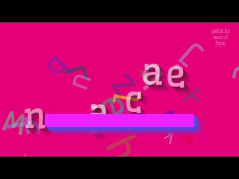 How to say "nicaea"! (High Quality Voices)