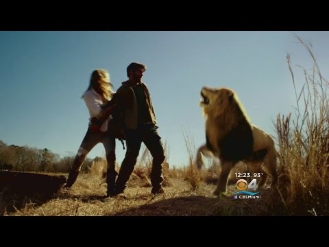 James Patterson & Cast Members Discuss New CBS Series "Zoo"