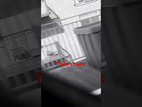 NeverlandCity 🕳️ #viral #shorts #chicago #illinois #cta #train #music #thetwilightzone