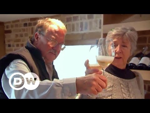 British wine in big demand | DW English