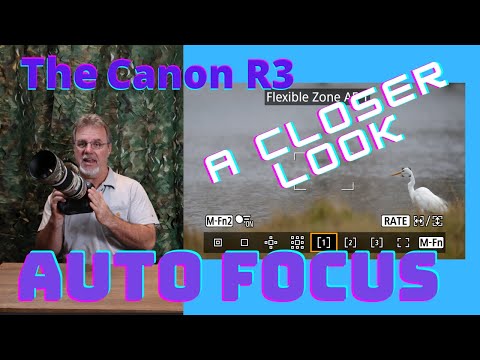 Canon R3: Bird photography autofocus setup (4895C002)