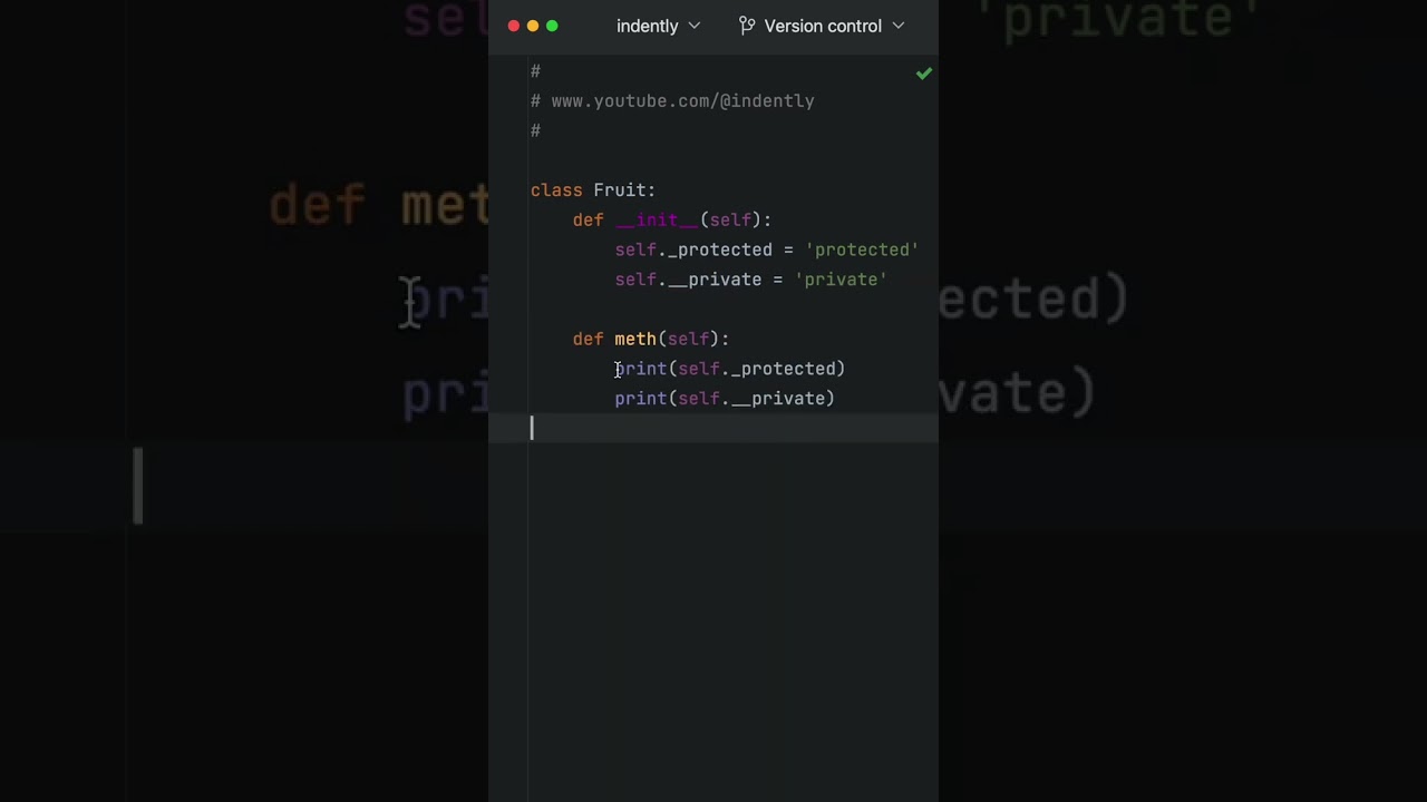 THIS Is HOW You Create PRIVATE & PROTECTED Variables In Python