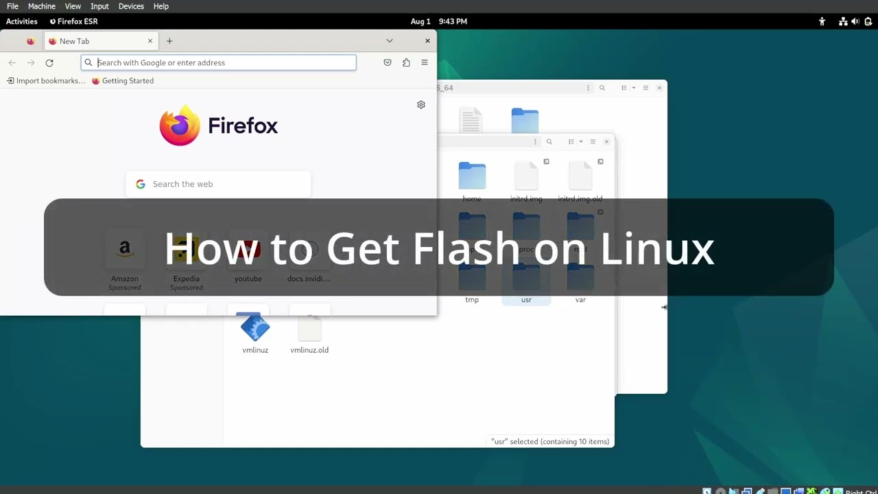 How to get adobe flash player on Linux (2025) (No ruffle) (No emulators)