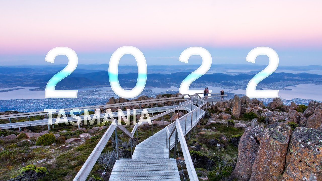 A look back at 2022 in Tasmania | ABC News