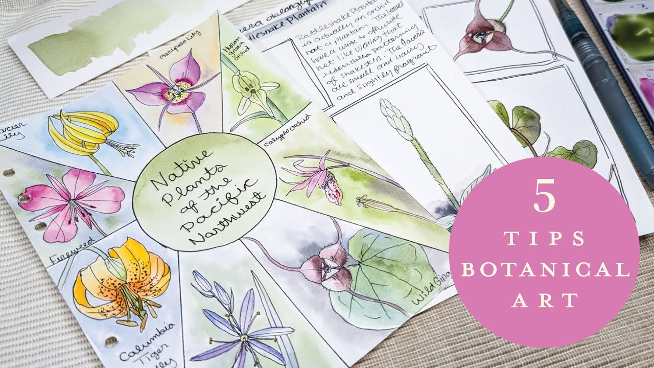 5 Tips for Getting Started with Botanical Art