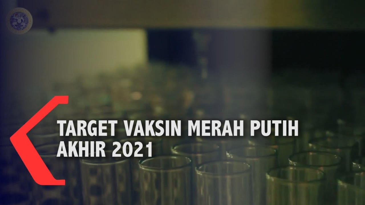 Target Vaksin Merah Putih Akhir 2021