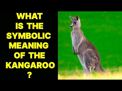 WHAT IS THE SYMBOLIC MEANING OF THE KANGAROO ?