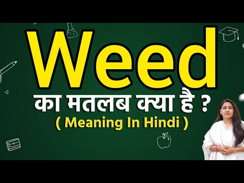 Weed meaning in hindi | Weed meaning ka matlab kya hota hai | Word meaning