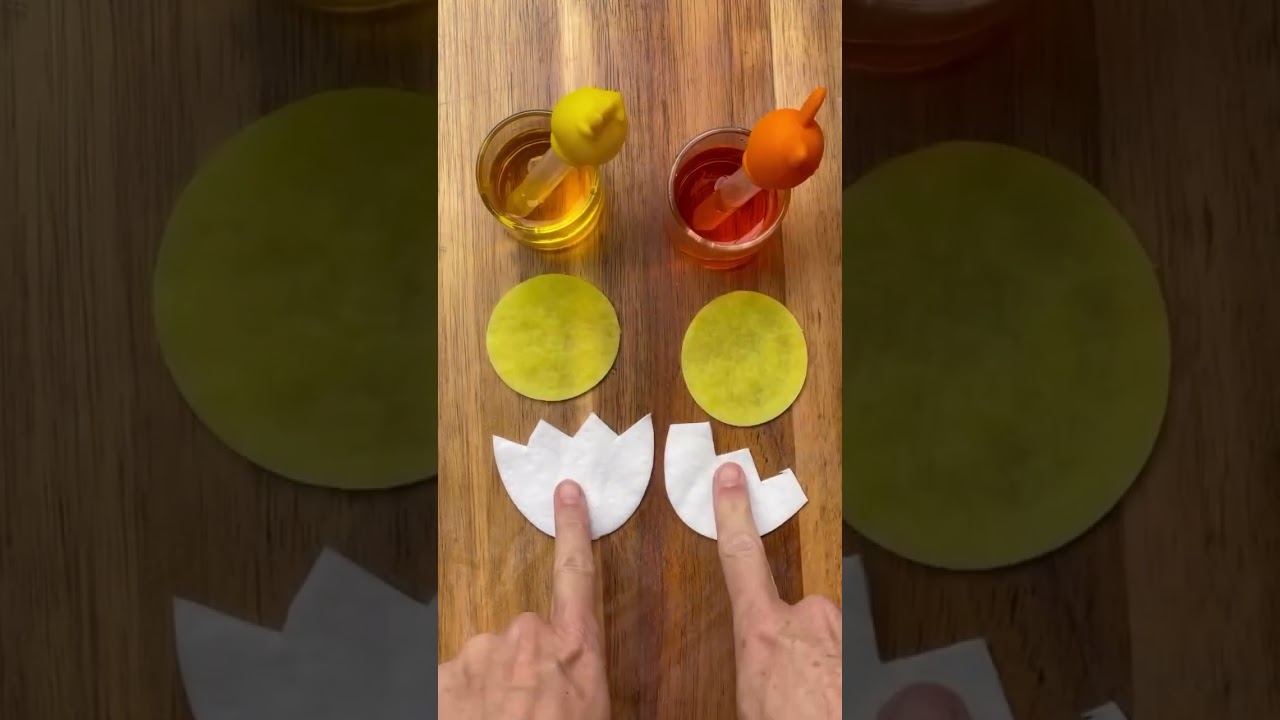 F7E9DE4F D50A 4658 B02A 6523EB2E4512