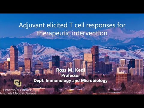 Adjuvant Elicited T Cell Responses for Therapeutic Intervention