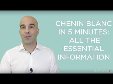 Chenin Blanc in 5 Minutes: All The Essential Information