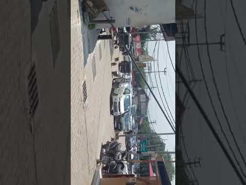 Monkey Repellent - Monkey Repellent Spray Latest Price, Manufacturers ...