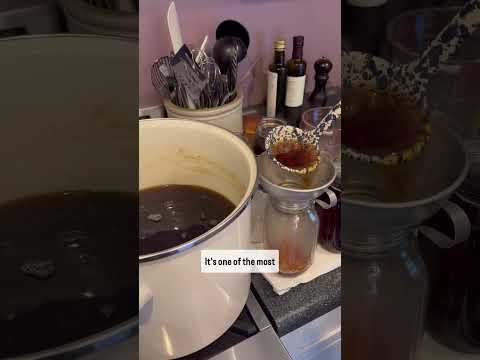 (FULL VIDEO POSTED!) 🥞🍁 You only need 1 tree to make maple syrup!