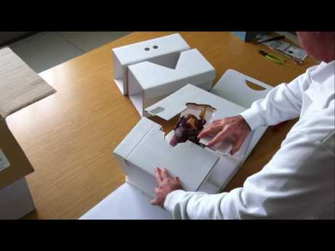 Lladro Warrior Boy Figurine 01013045 UnPacking
