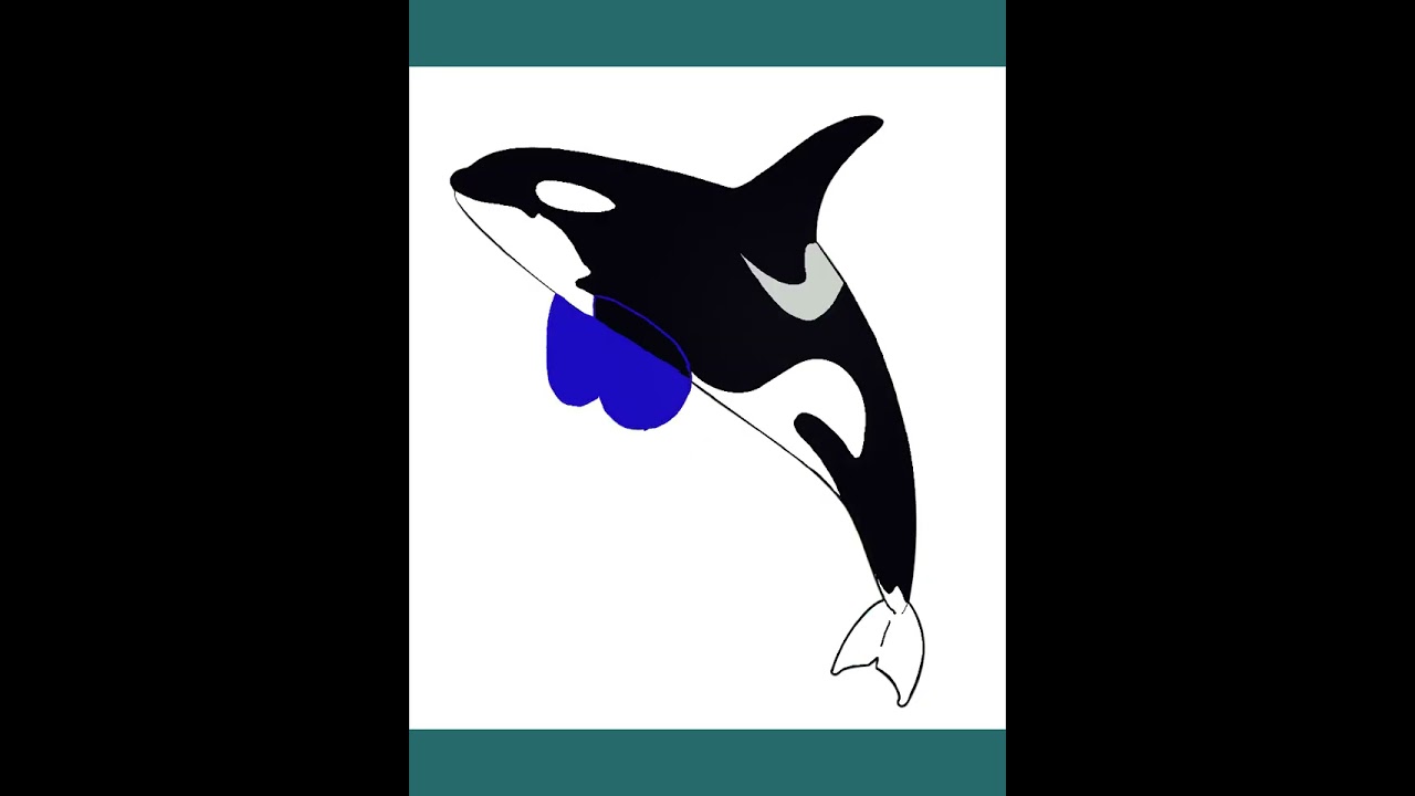Procreate Timelapse Orca Pod drawing