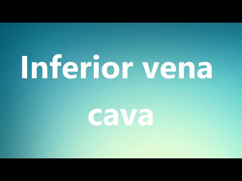 Inferior vena cava - Medical Meaning and Pronunciation
