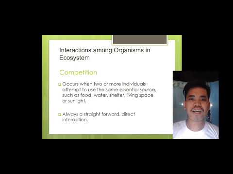 Ecological Relationship (Group 3, Environmental Science)