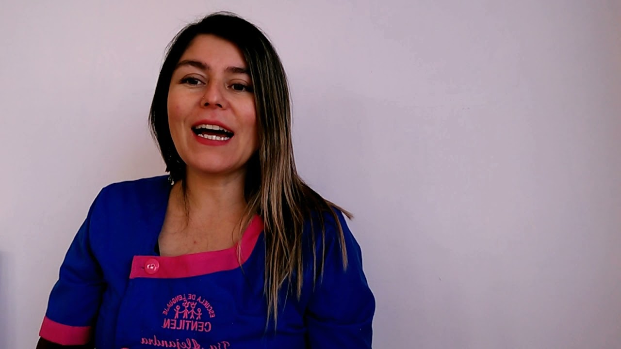 Partes finas y gruesas, órganos internos del cuerpo humano ( Kínder- Tía Ale)